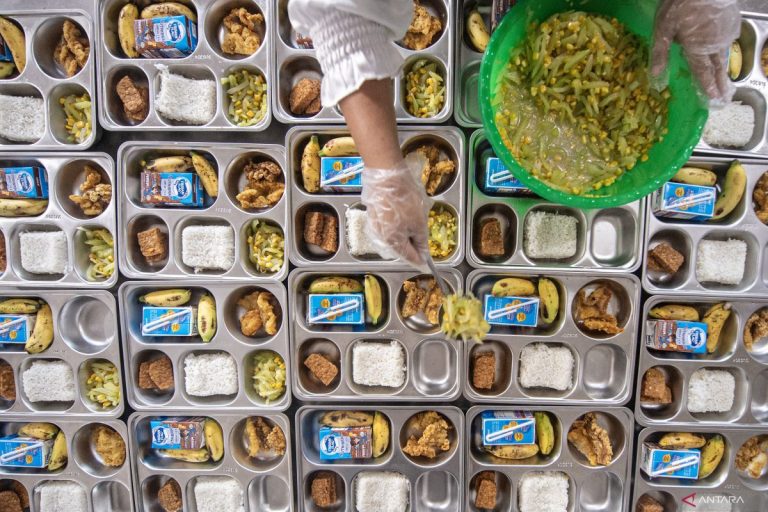 Perpres Tata Kelola Program MBG Segera Diterbitkan, BGN Pastikan Hampir ...